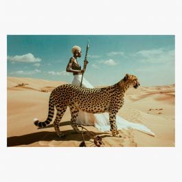 Buy Online African Cheetah II Photo On Plexiglass,MULTICOLOR, | Marina ...
